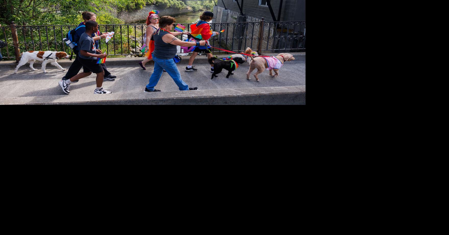 Pet parade brings Pride celebration to downtown Napa | News ...