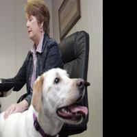 When ‘woof woof’ means more than ‘woof woof’