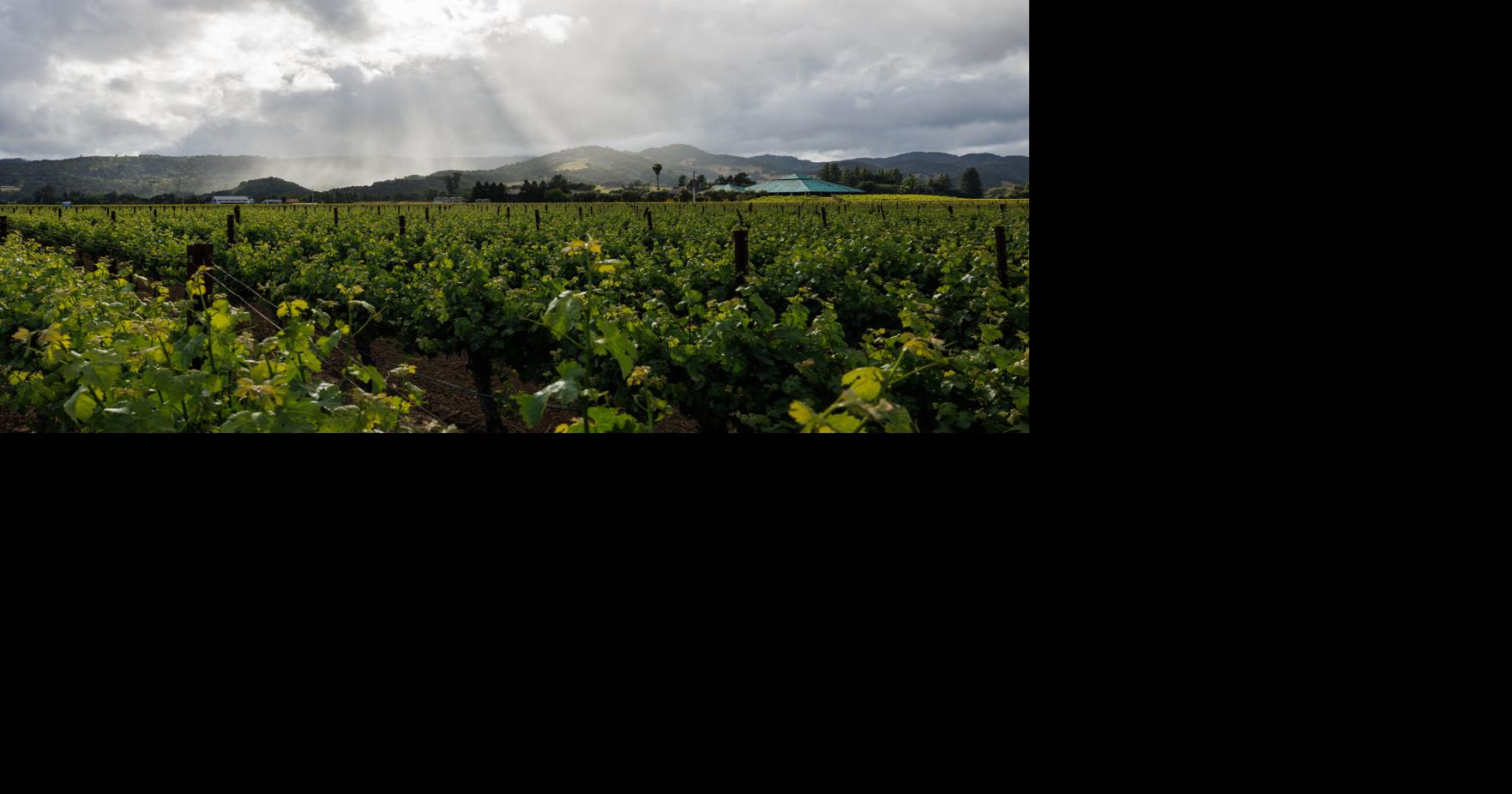 Napa water outlook good as rainy season fizzles | Weather ...