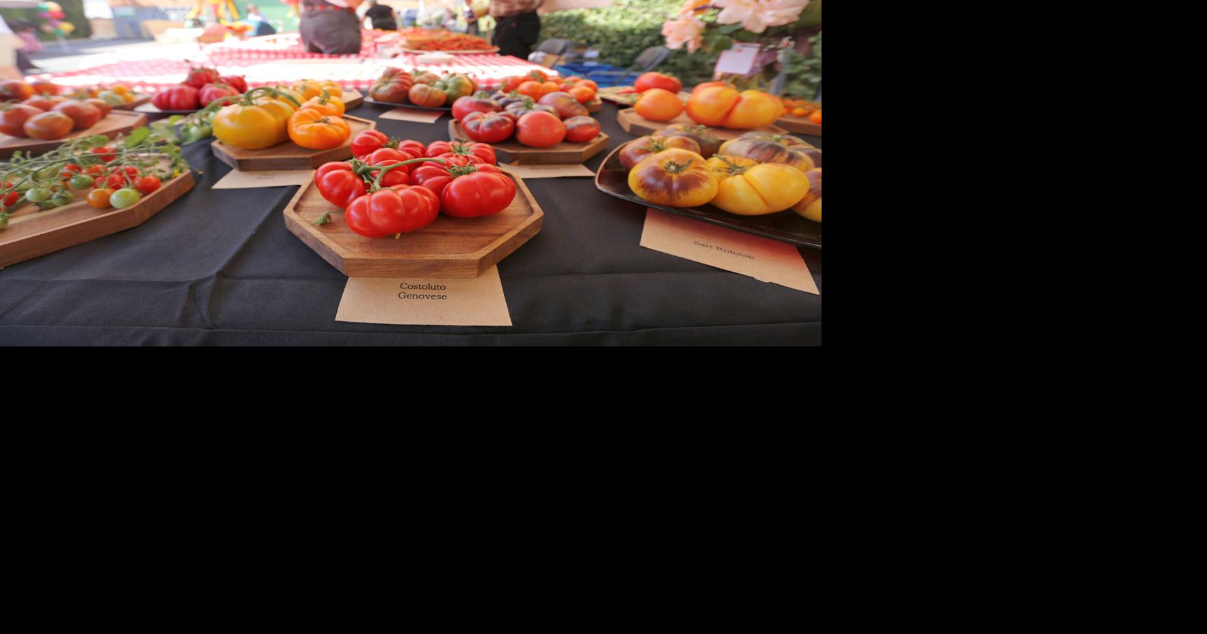 Photos: Napa's Tomatoganza! pays tribute to tomatoes, and their seeds