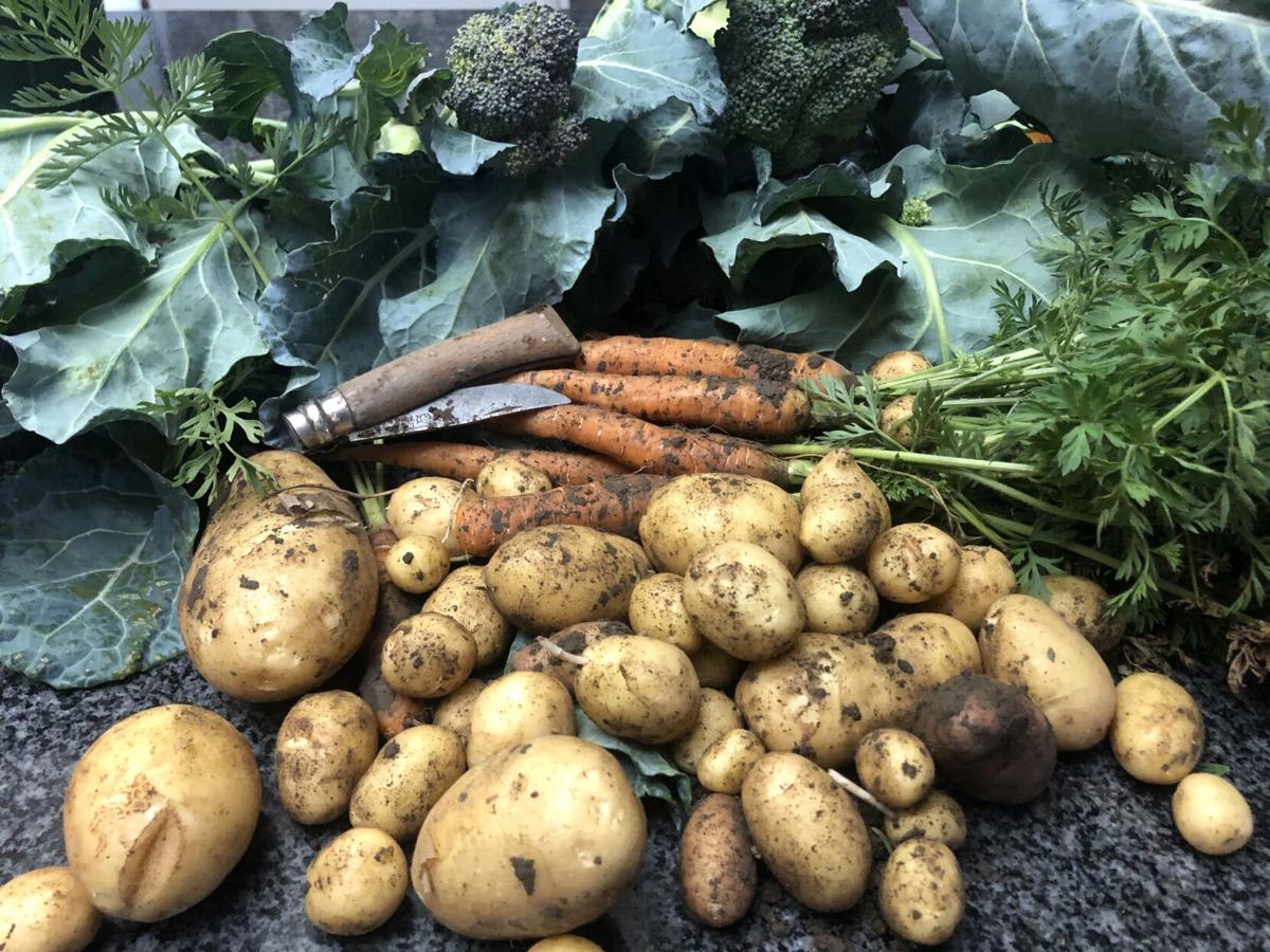 Napa Farmers Market: How to store your produce