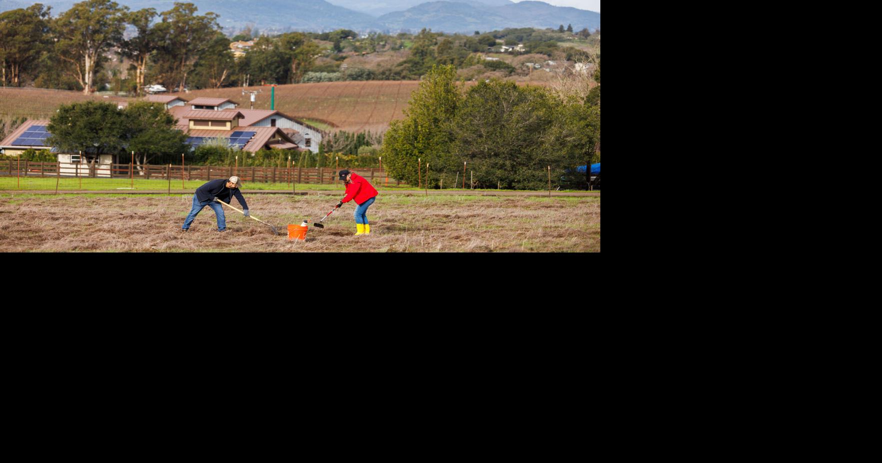 Camp Coombs will soon become part of Skyline Park | News ...