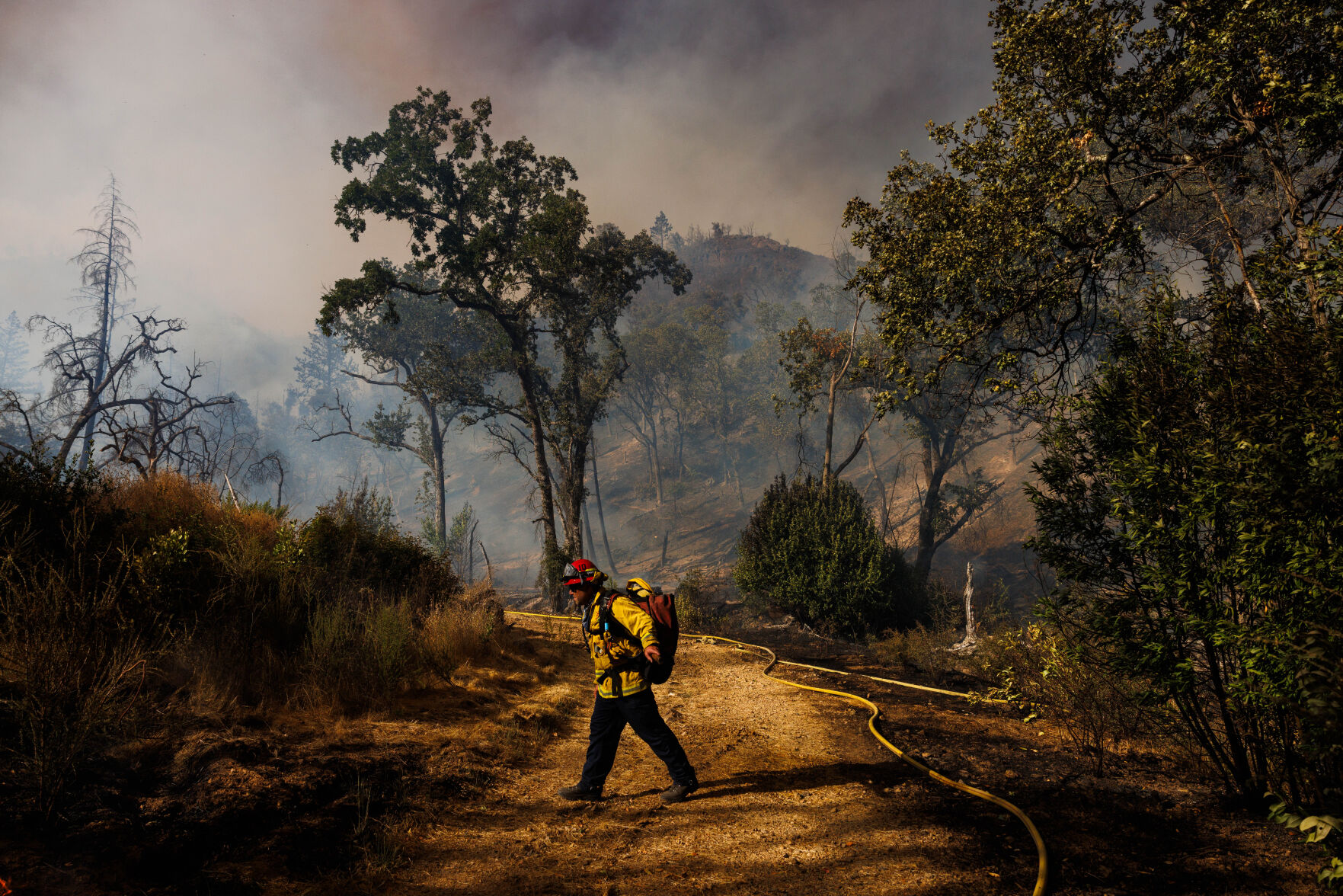 Crews curb Pickett Fire's growth; some evacuations lifted | News ...