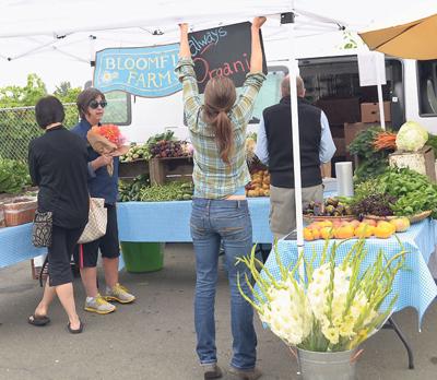Peppers, cukes at farmers market for quick-pickling