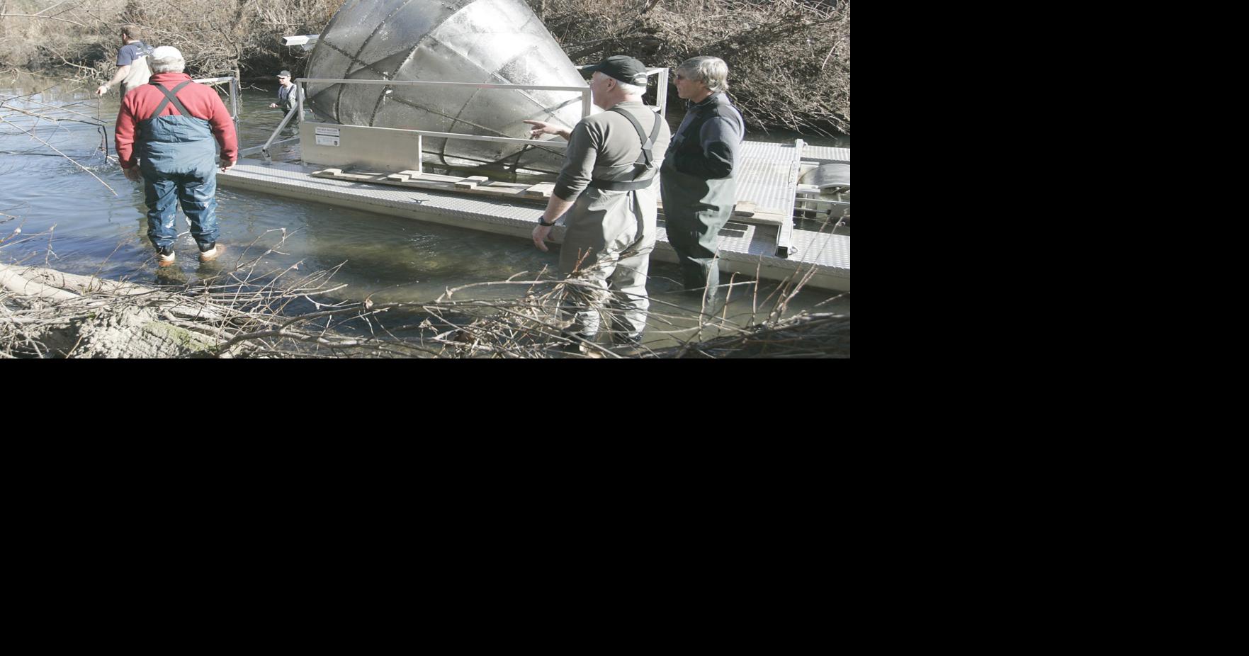 Napa fish monitoring shows mixed results for salmon, trout | News ...