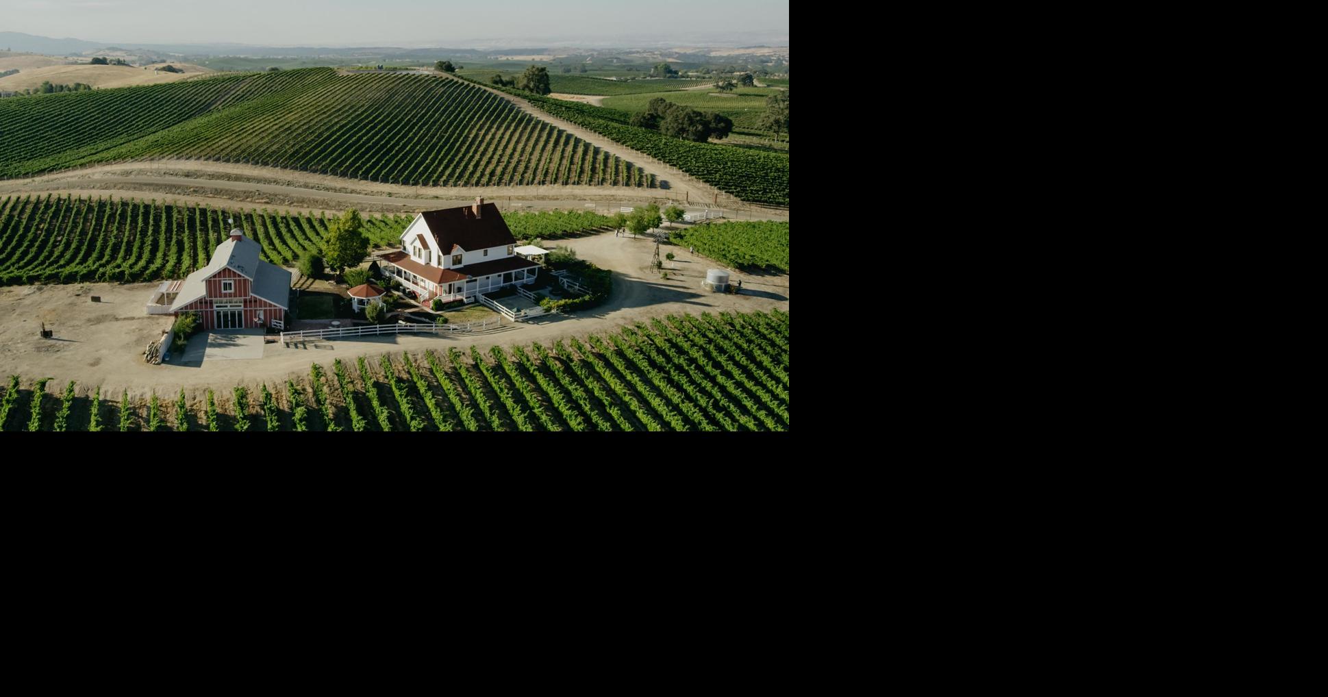Winegrower Craig Stoller: Capturing the essence of California’s Central ...