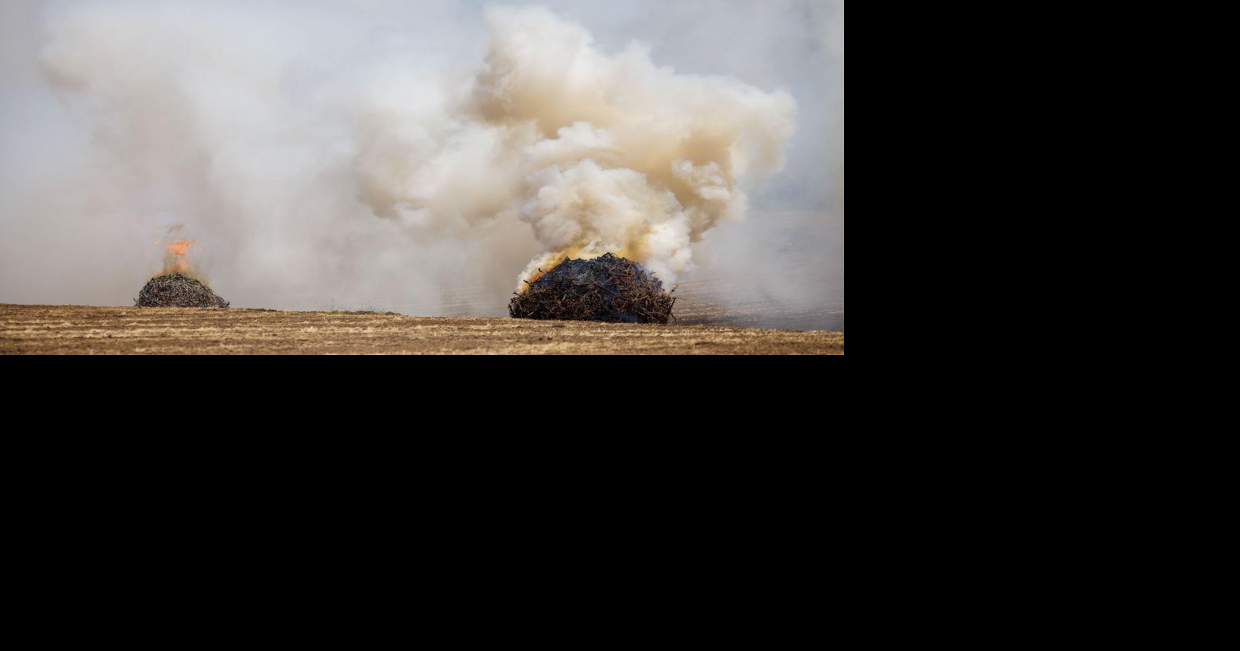Vine Burn | News | napavalleyregister.com