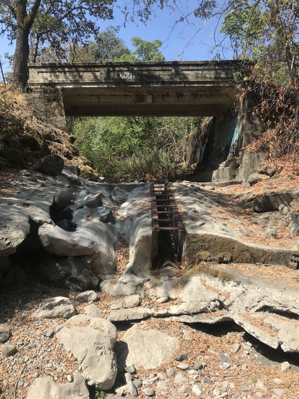 New St. Helena bridge restores fish passage to Sulphur Creek | News ...