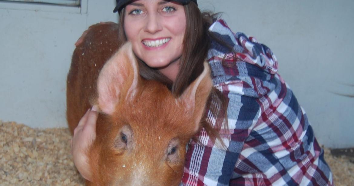Local rescue group finds home for Lucy the pig | News ...