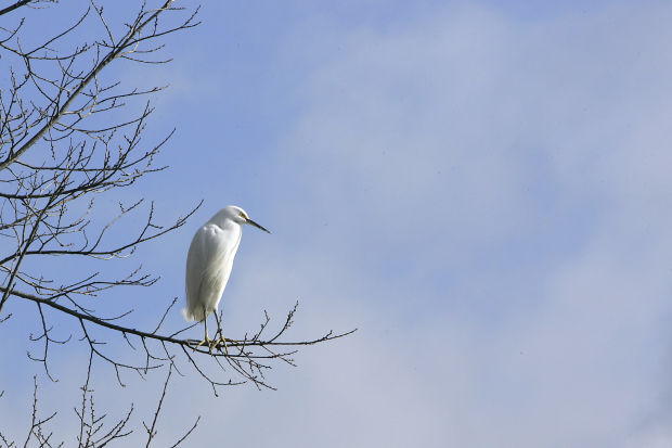 Balmy weather forecast through weekend