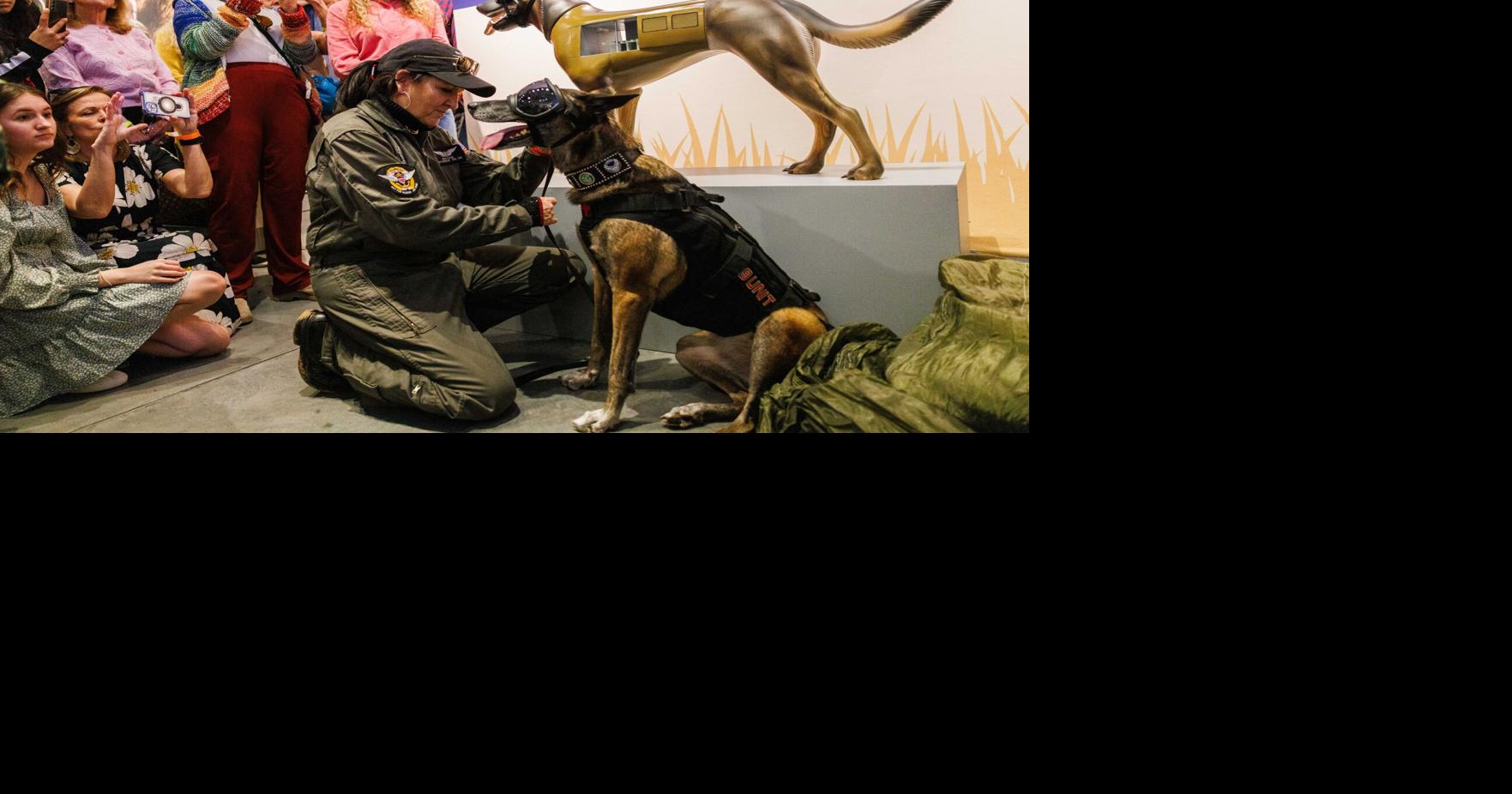 PHOTOS: Warrior Dogs exhibition opens at the Napa Valley Museum | News ...