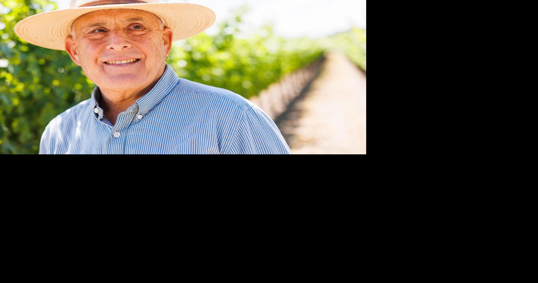 Daniel Baron finds the road to wine industry in Napa Valley | Business ...