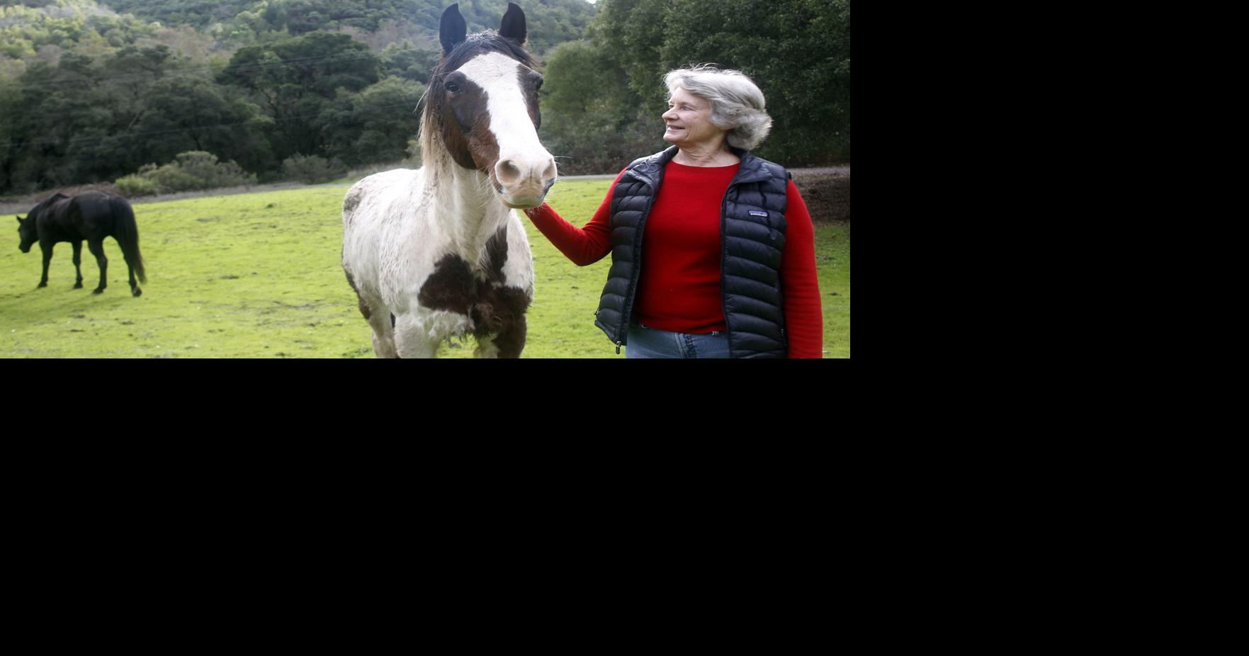 Conservation easement made on historic property outside Yountville ...