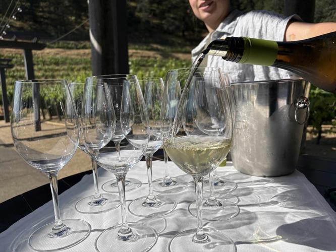 Scenic ‘wine hike’ at Pine Ridge Vineyards attracts visitors | Wine ...