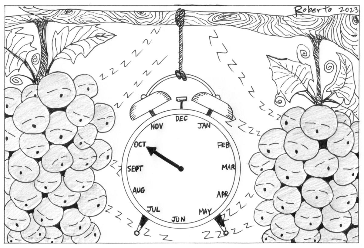 Political cartoon by Roberto Tinoco