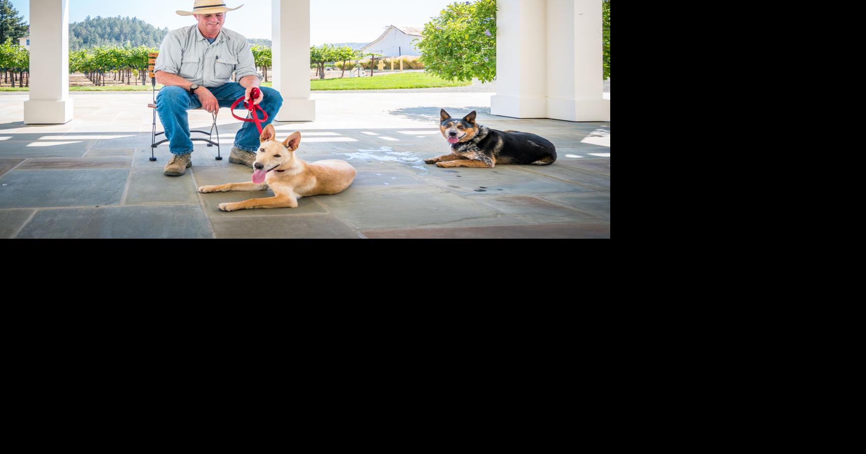 The deep Napa Valley roots of Gamble Family Vineyards | Wine ...