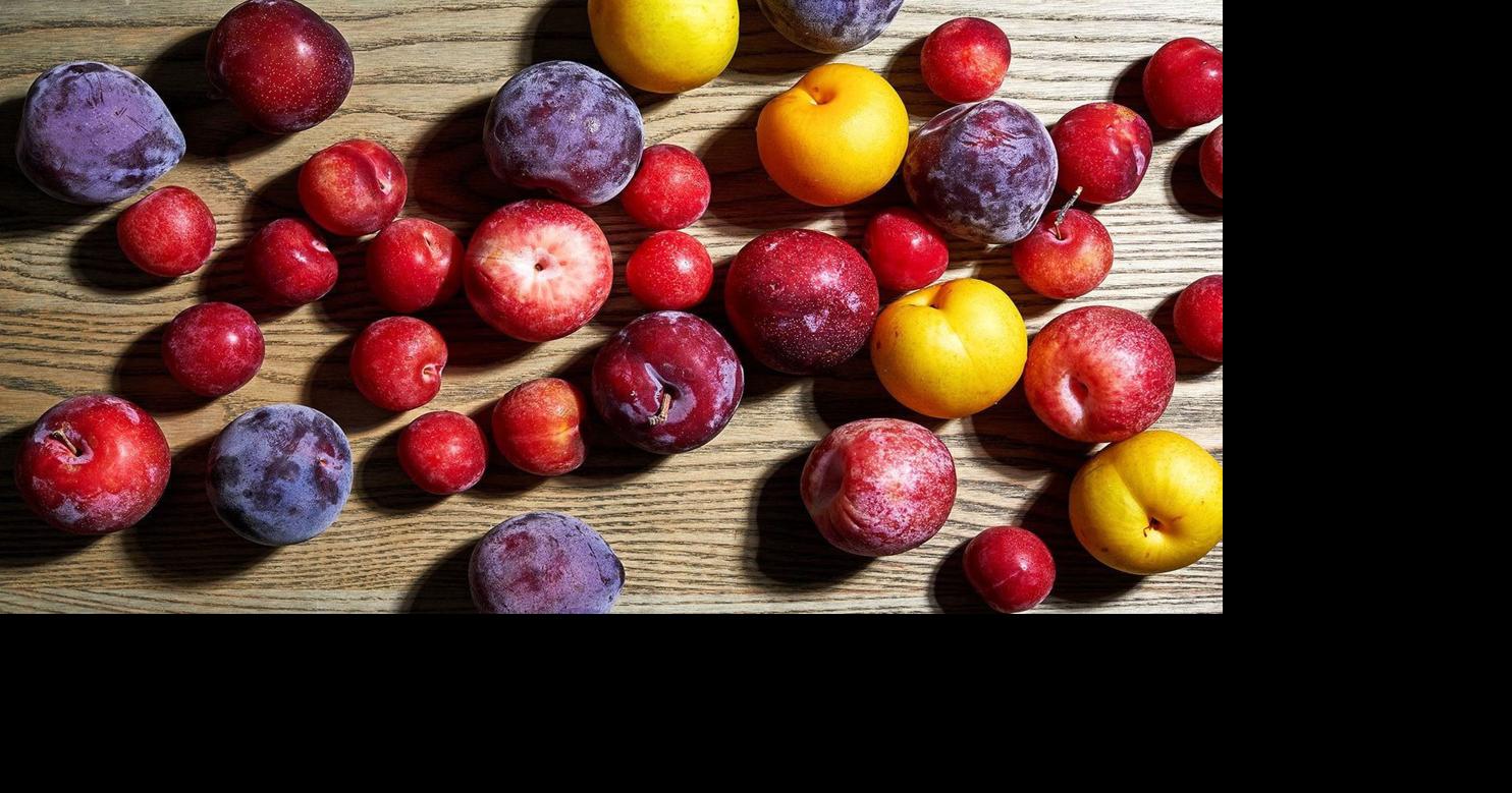 Plumcots, apriums and pluots: How to keep track of all those hybrid ...