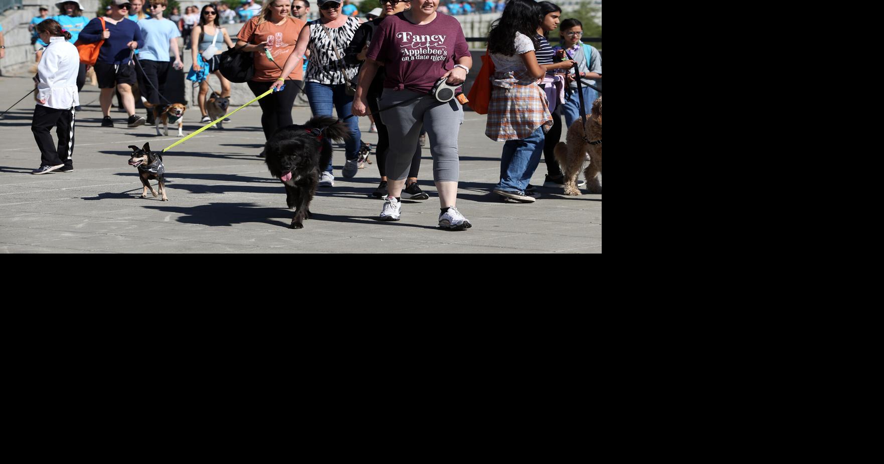 Napa Humane's Walk for Animals moves to Yountville