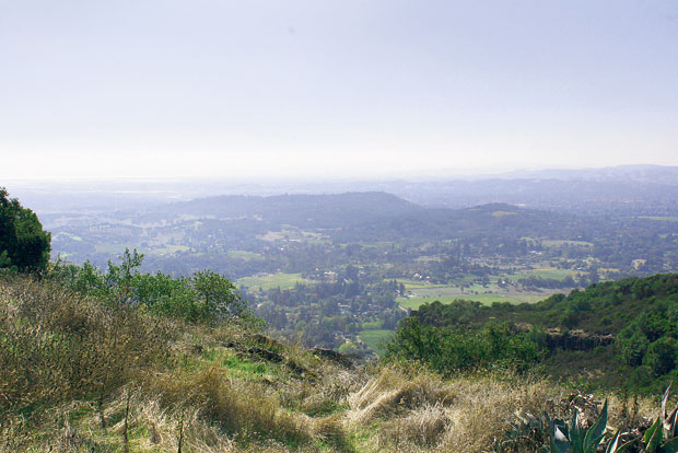 Coombsville: Slow down in Napa’s newest AVA