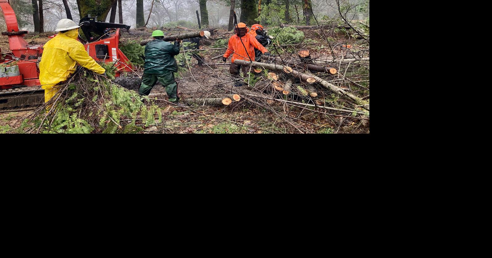 Napa Land Trust oversees forest thinning, prescribed burns | News ...