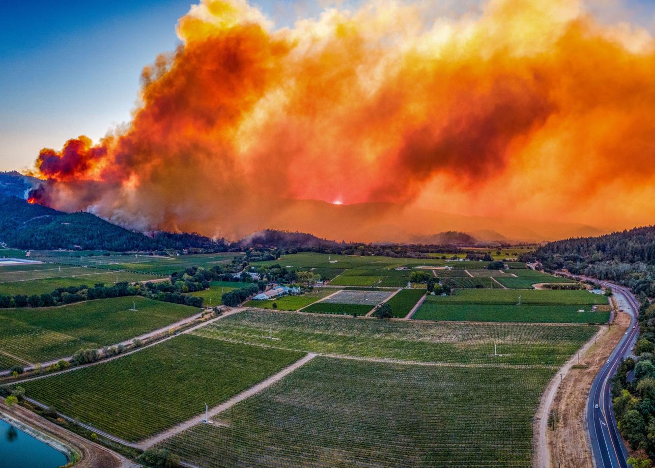 Photos: Spring Mountain Vineyard, the Glass fire and "Falcon Crest ...