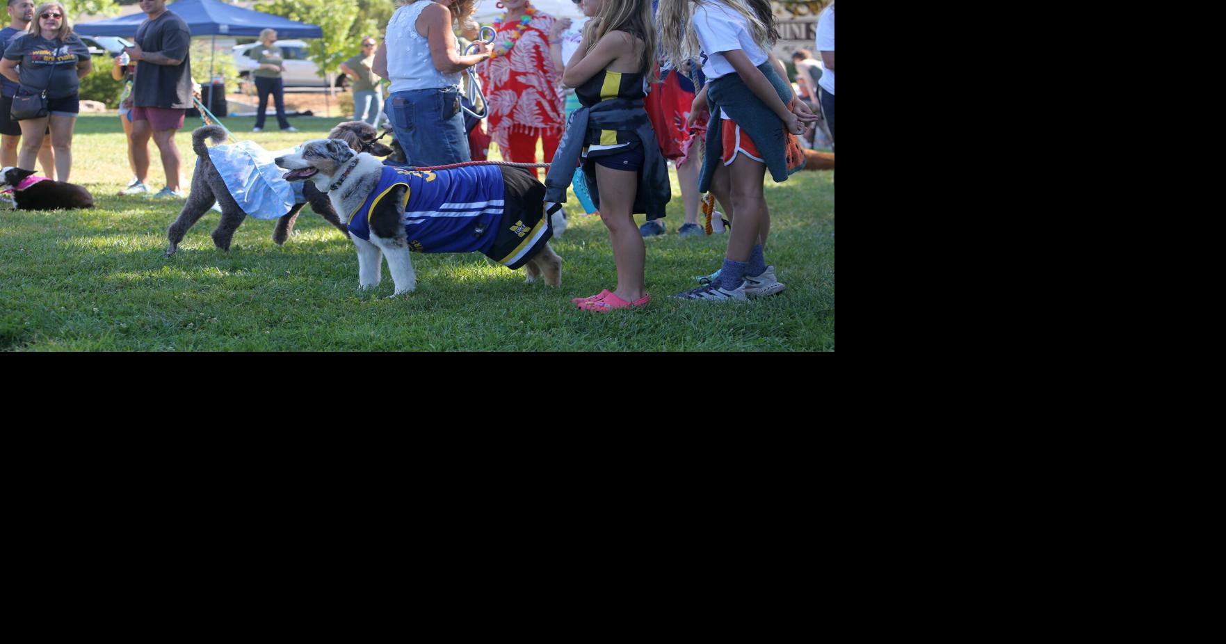 PHOTOS: Scenes from Napa Humane's Walk for Animals in Yountville