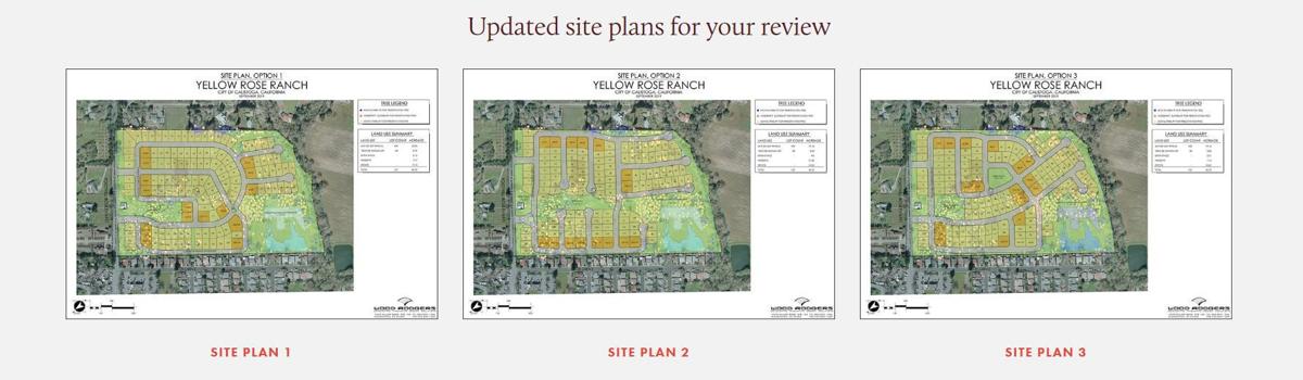 YELLOW ROSE RANCH