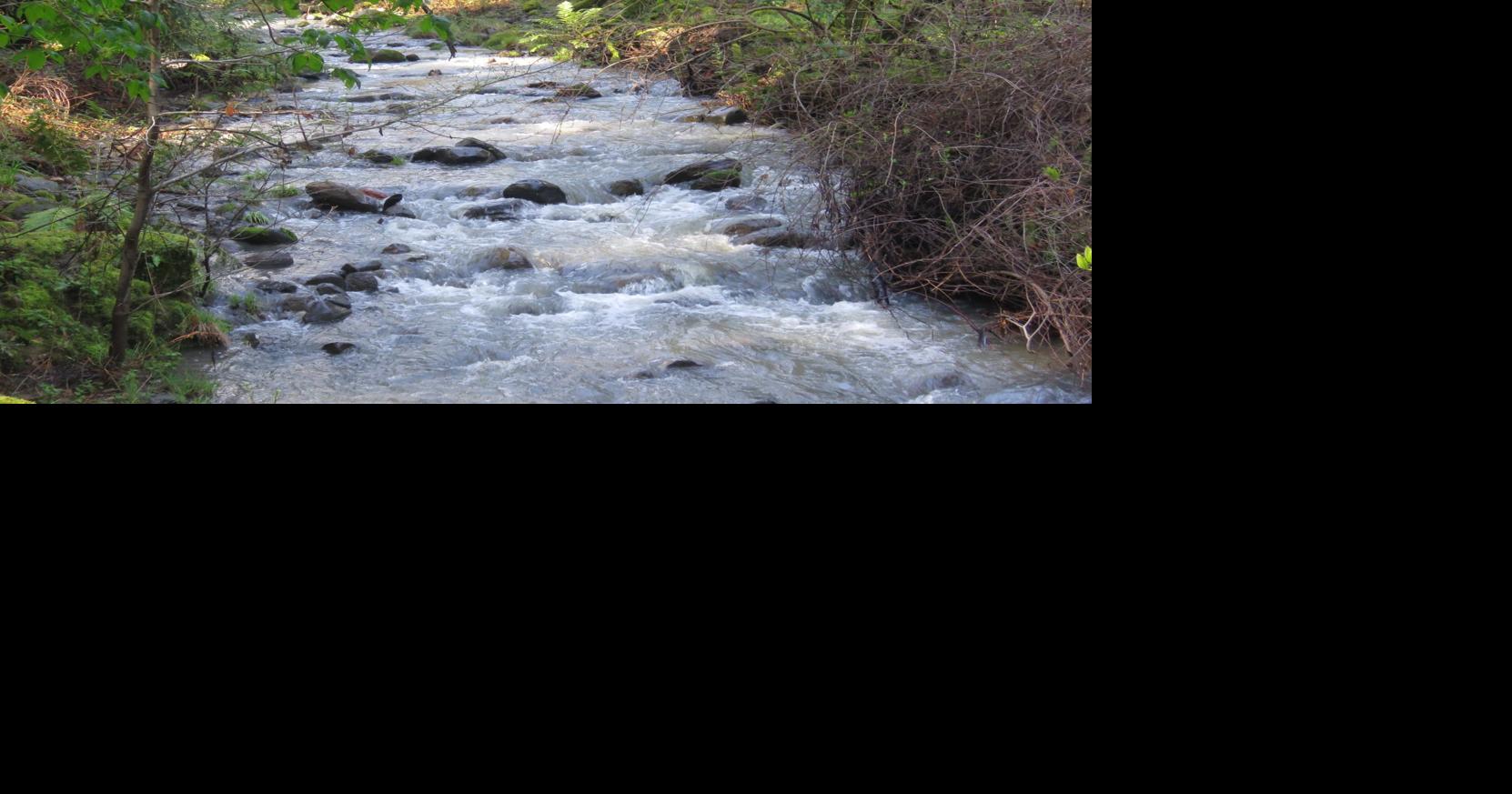 Napa Valley's Living Landscape: A wildflower hike at Bothe-Napa Valley ...