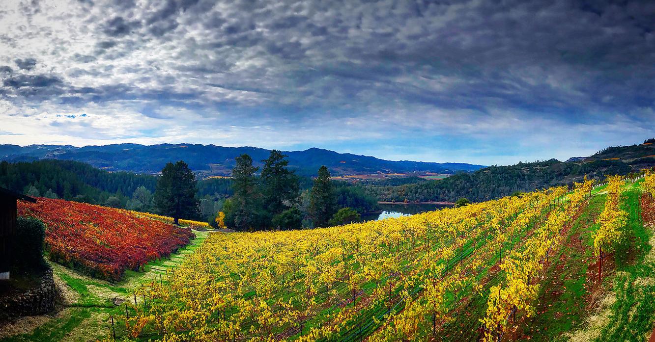Photos: Scenic Napa Valley | Local News | napavalleyregister.com