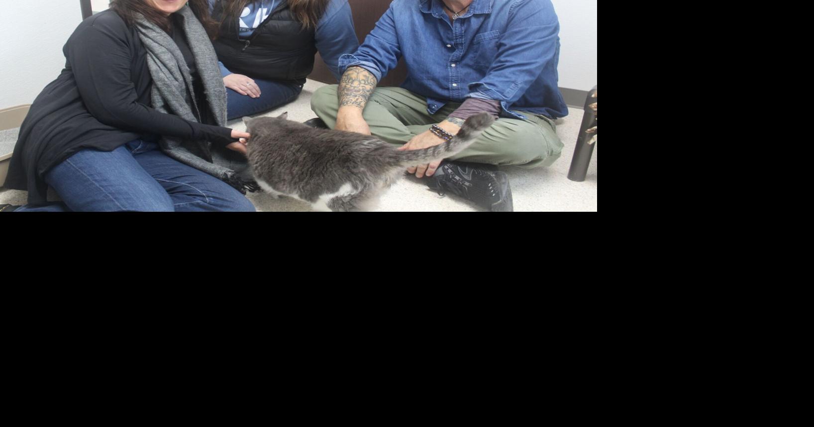 'Cat daddy' Jackson Galaxy visits St. Helena's We Care | News ...