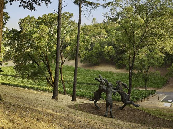 Beckstoffers to acquire Dancing Hares | News | napavalleyregister.com