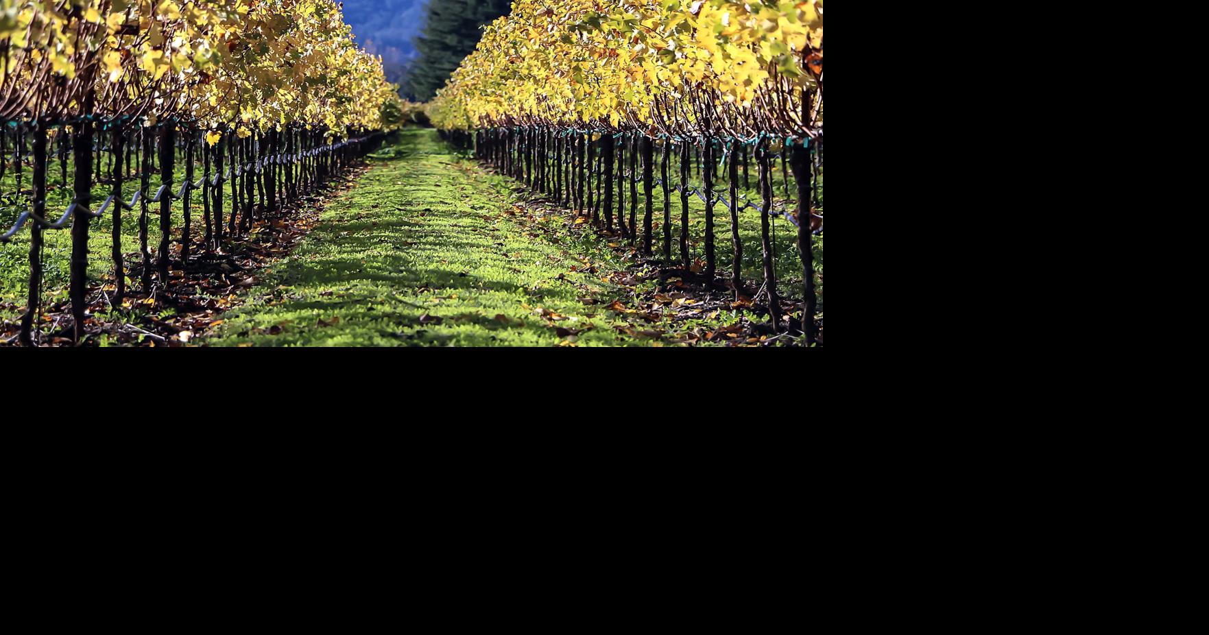 Duckhorn winery growth appealed to Napa County Board of Supervisors ...