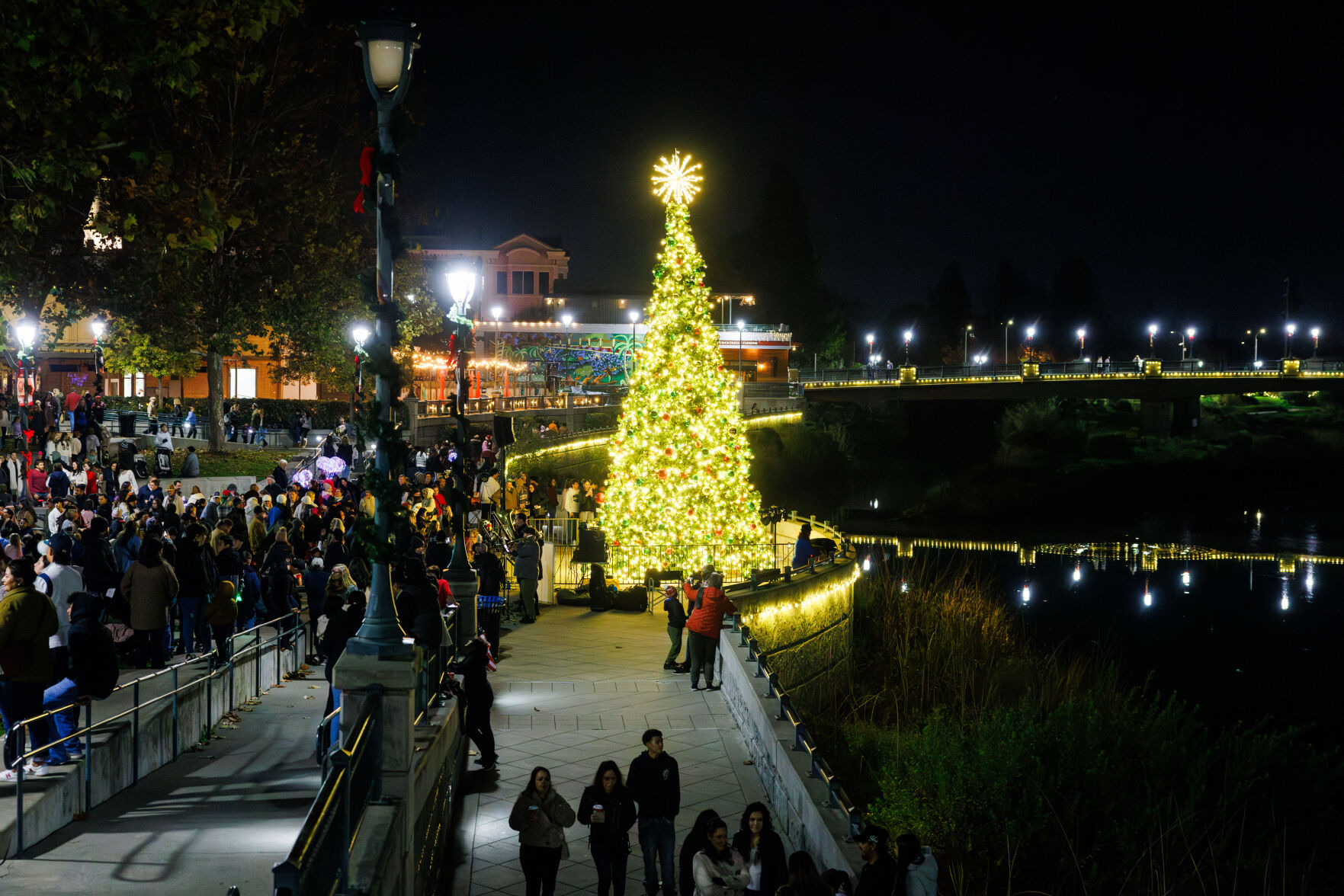 GALLERY: Napa's annual tree lighting ceremony | News ...