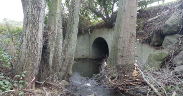 Creek fish passage becomes issue with Soscol Junction traffic project ...