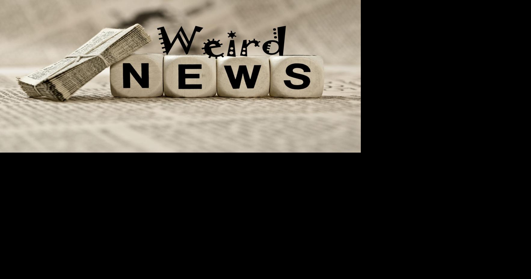 Top "Weird News" Stories of 2017 ... so far