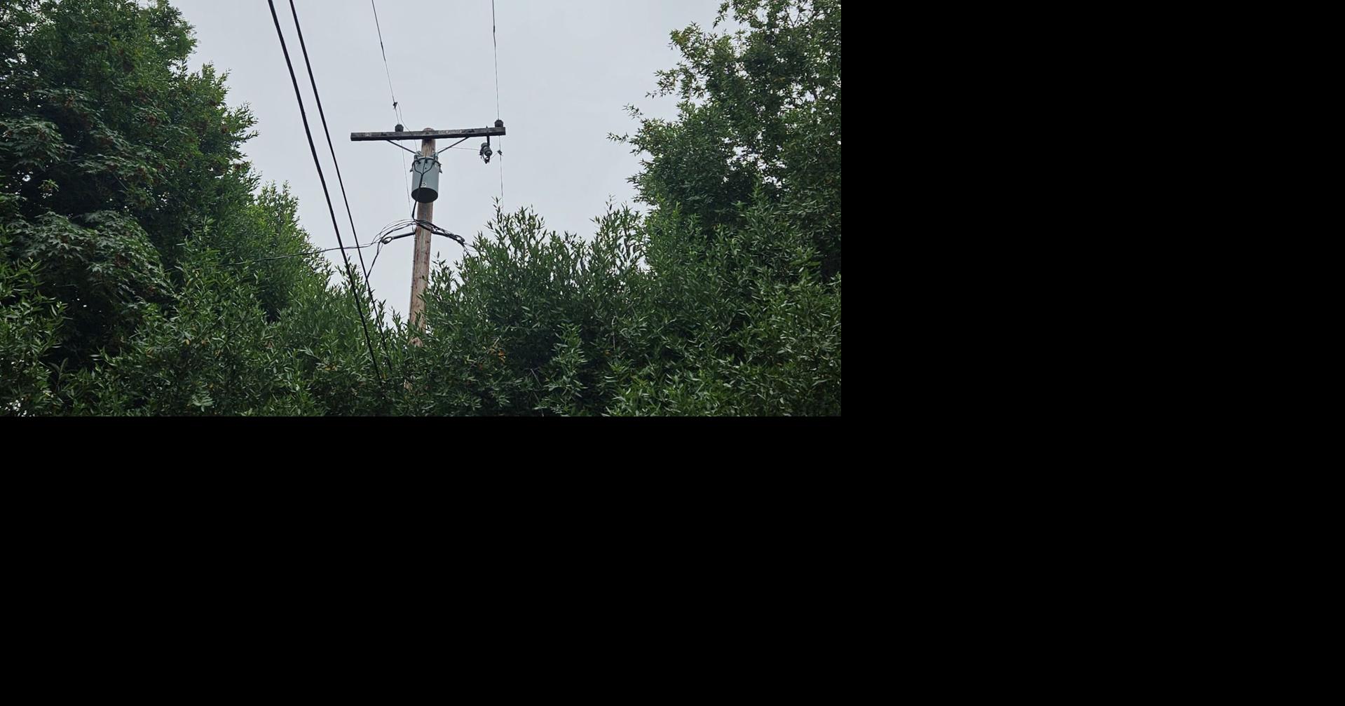 Tree-vs.-power line conflict plays out in St. Helena | News ...