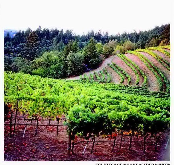 Mount Veeder Winery celebrates 50th anniversary