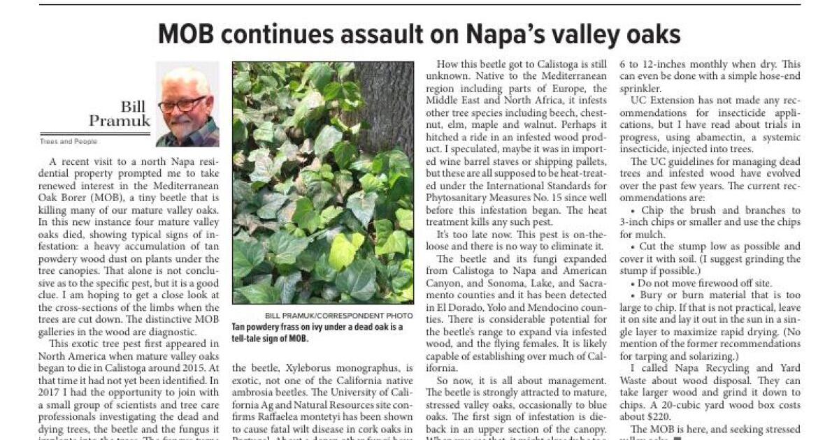 Page B07 | Napa Valley Register E-edition | napavalleyregister.com
