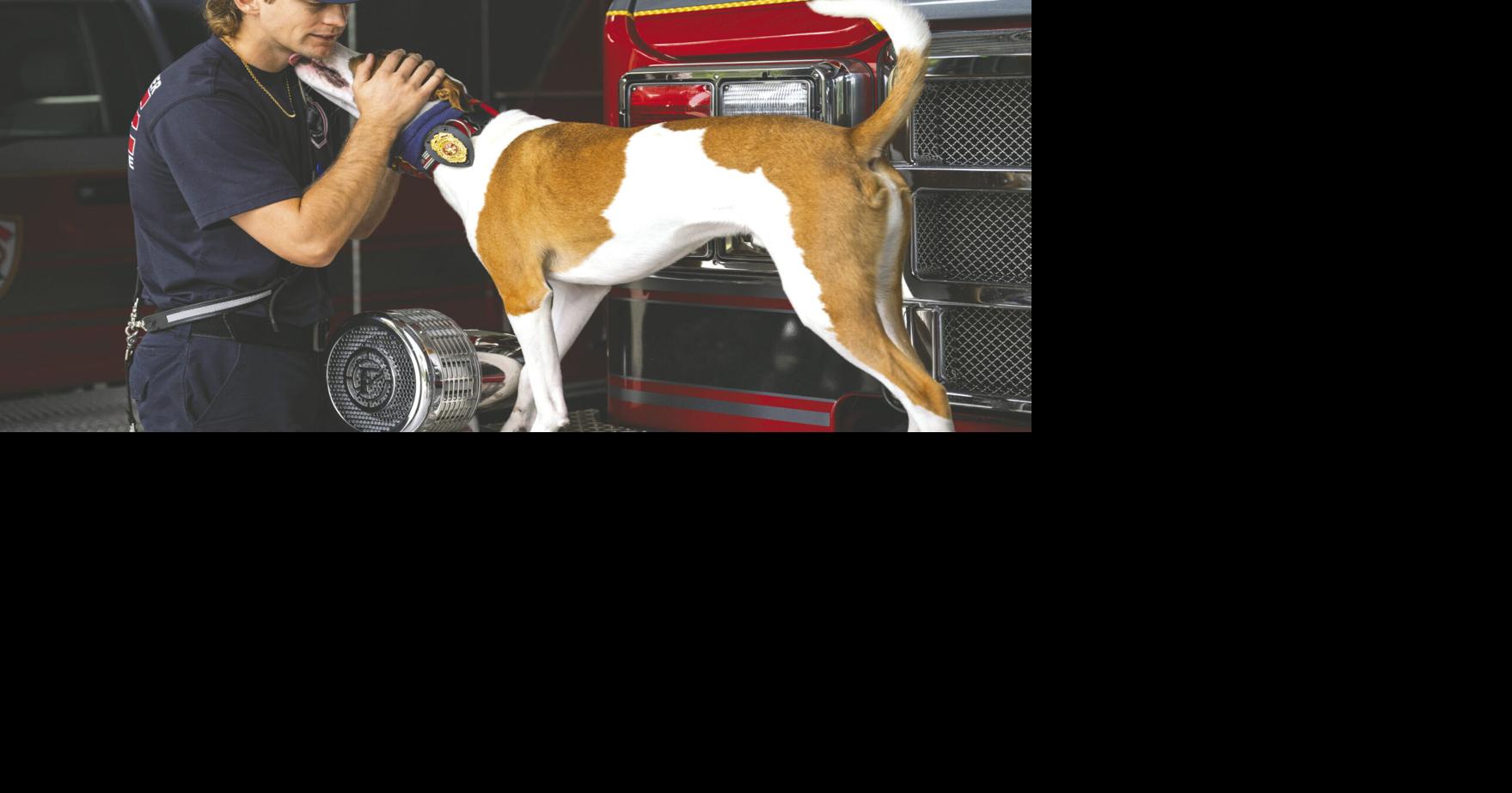 FIRE PUP TANK ANCHORS CREW: The eager canine is North Collier Fire ...