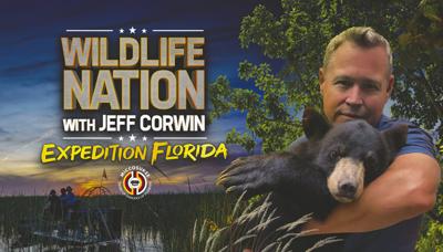 Wildlife TV series aims cameras at Florida | Local News | naplespress.com