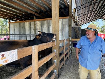 Good Mood Ranch brings community closer to farm life in Naples ...
