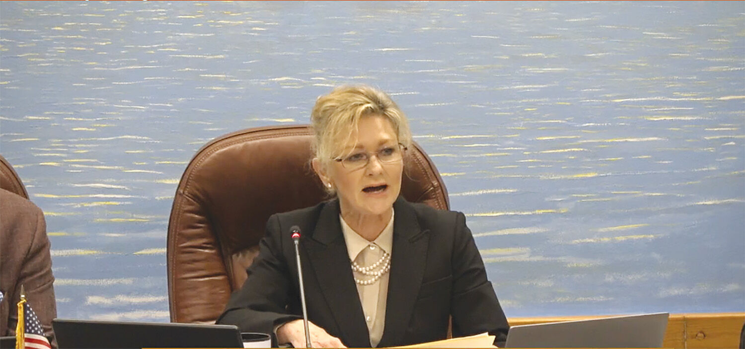 Naples mayor Teresa Heitmann pleads to DUI charges | Local News ...