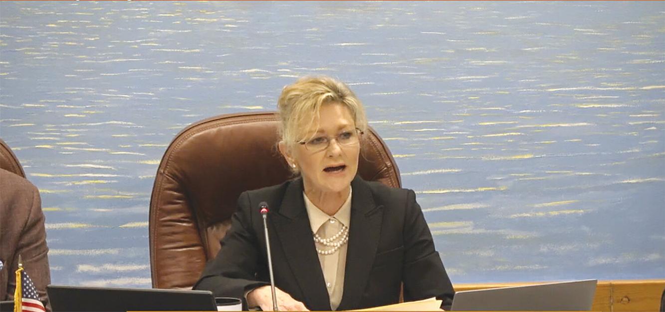 Naples mayor Teresa Heitmann pleads to DUI charges | Local News ...