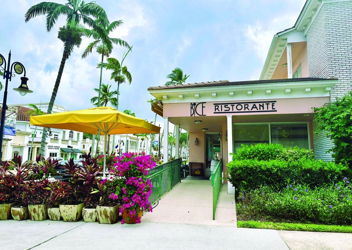 Shake Shack Brings Fast-Casual Buzz to Naples Food Scene | Tim Aten ...