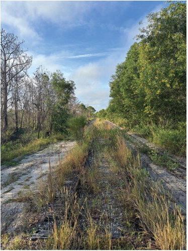 County pledges nearly $7M for rail-to-trail project | Local News ...