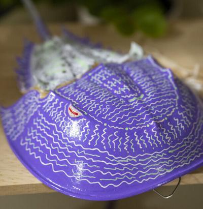 Sunnyland Swim keeps style and Planet Earth in its priorities | Arts ...