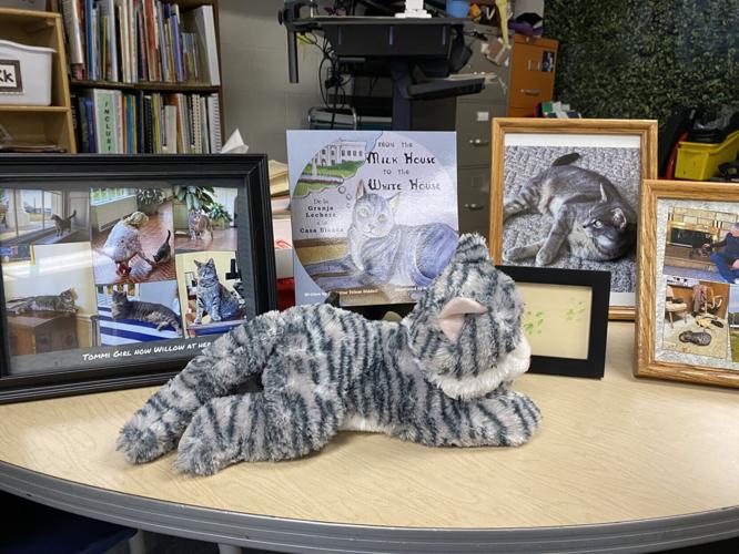 Willow the Cat's journey from Lawrence County to White House detailed ...