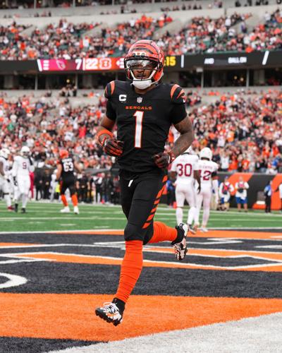 Cardinals Bengals Football | National Sports | ncnewsonline.com