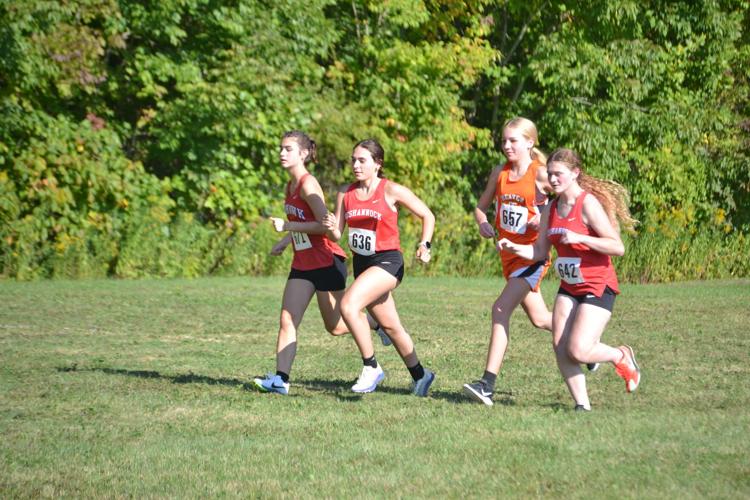 Cross country - WPIAL Section 1-1A/2A: Mohawk, Beaver Falls at ...