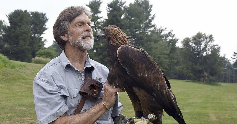 In Pennsylvania, a falconry permit takes a lot of work | Lifestyles ...